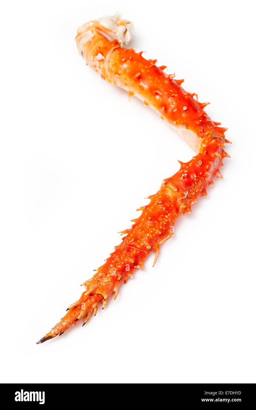 Cooked Peruvian Southern King crab leg (Lithodes Santolla ) isolated on ...