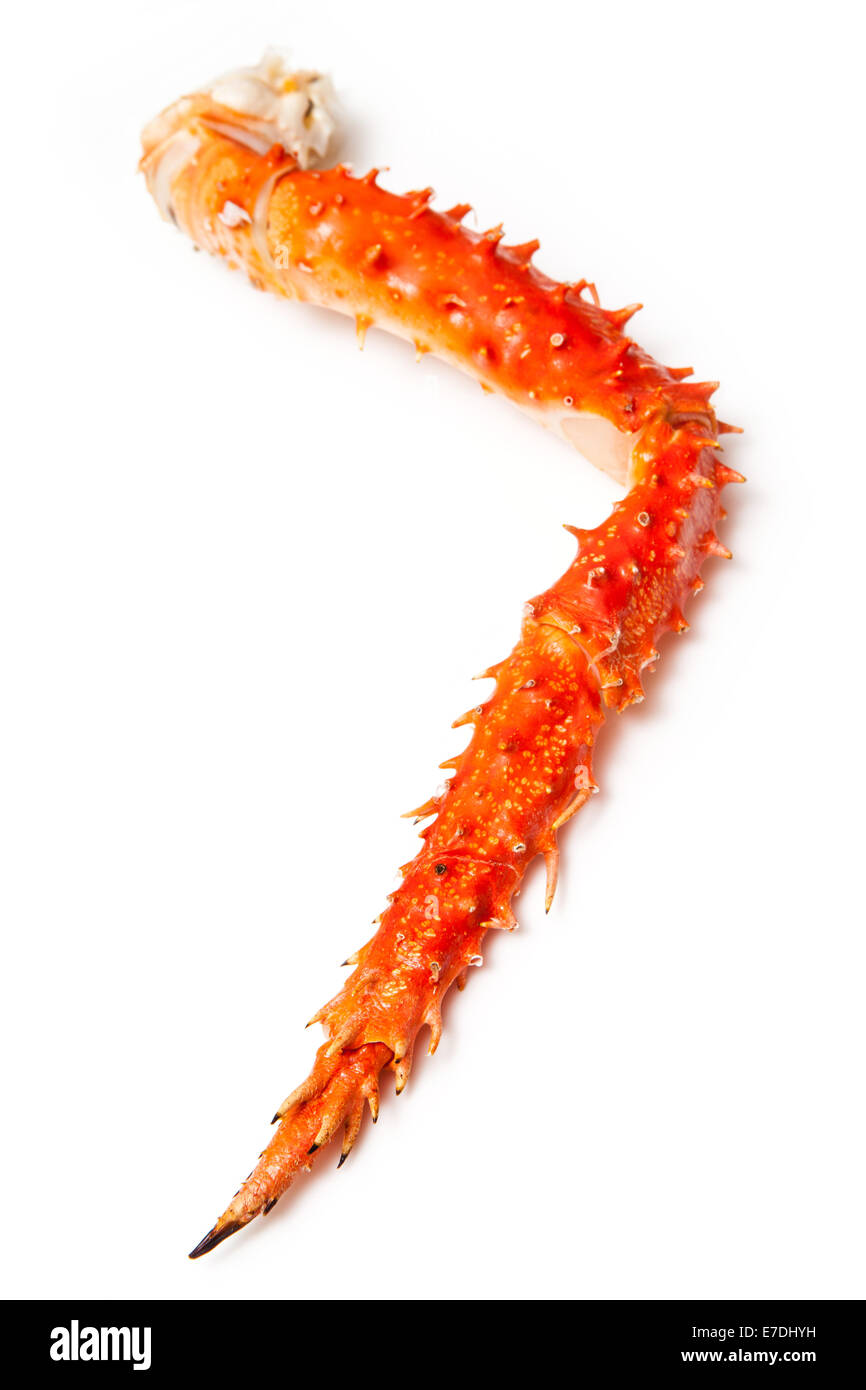 Cooked Peruvian Southern King crab leg (Lithodes Santolla ) isolated on ...