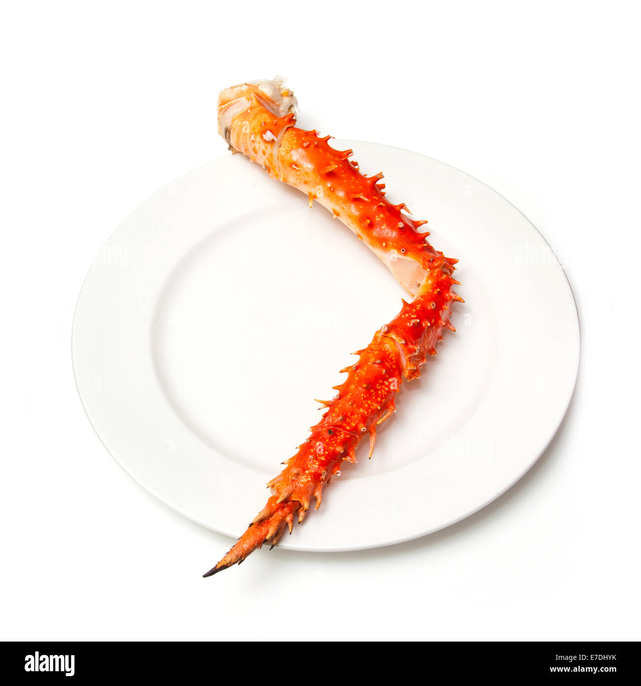 Cooked Peruvian Southern King crab leg (Lithodes Santolla ) isolated on ...