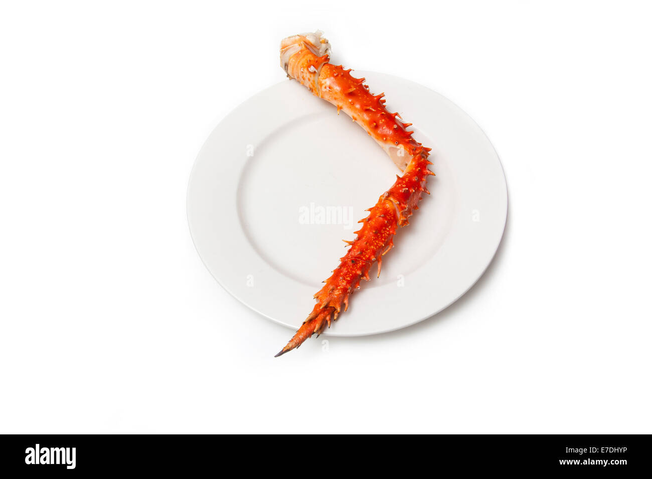 Cooked Peruvian Southern King crab leg (Lithodes Santolla ) isolated on ...