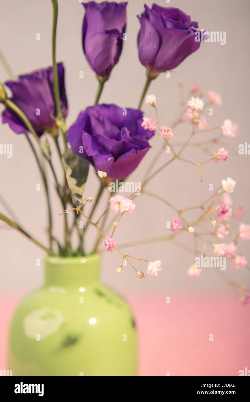 close up shot of Eustoma flowers in the vase Stock Photo - Alamy