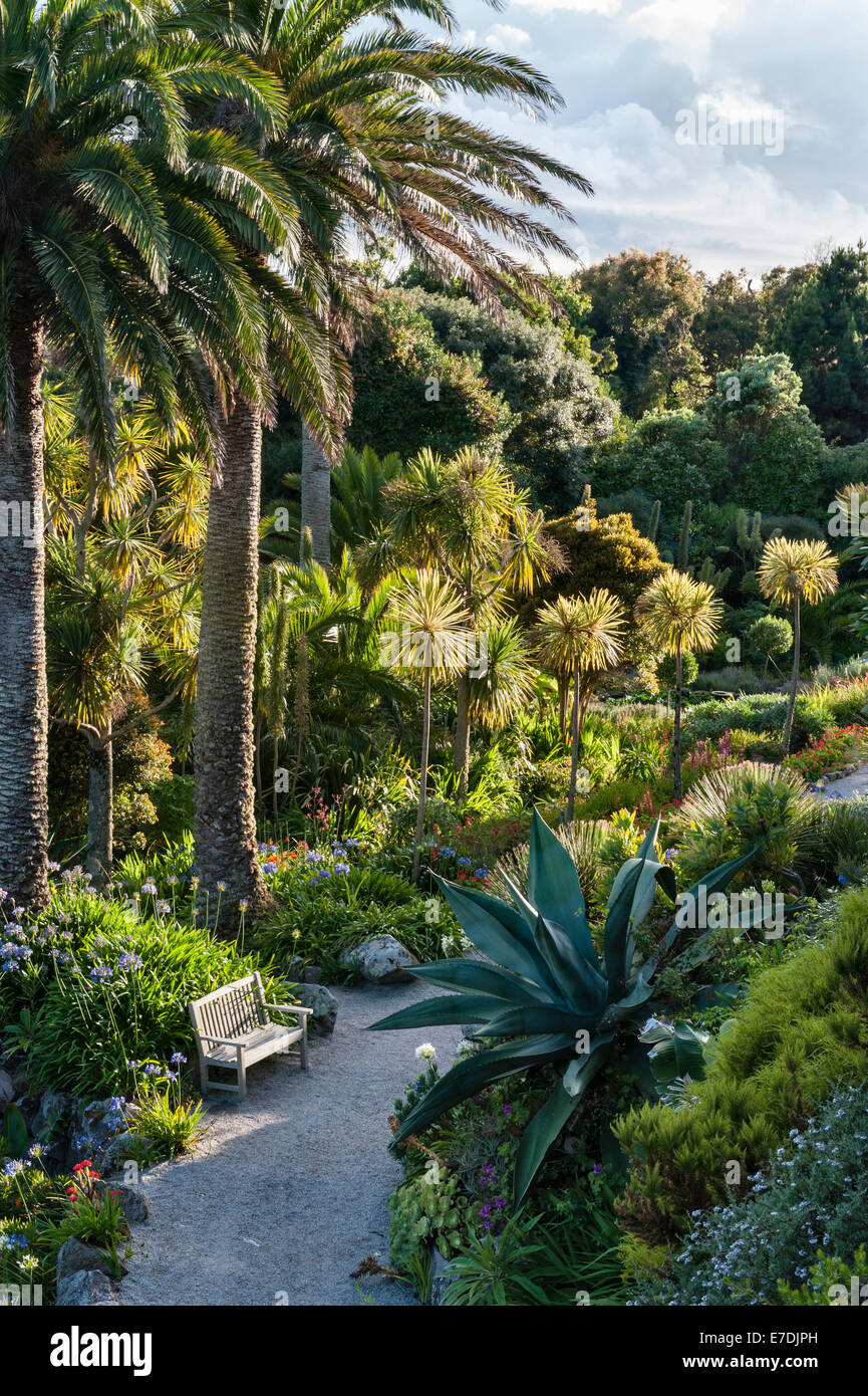 Subtropical sub tropical cornwall scillies palms palm trees bench hi ...