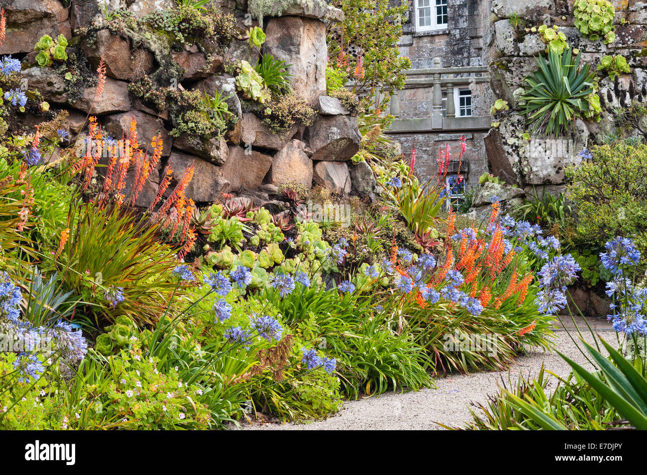 Tresco Abbey Garden. A corner of Tresco Abbey, built by Augustus Smith ...