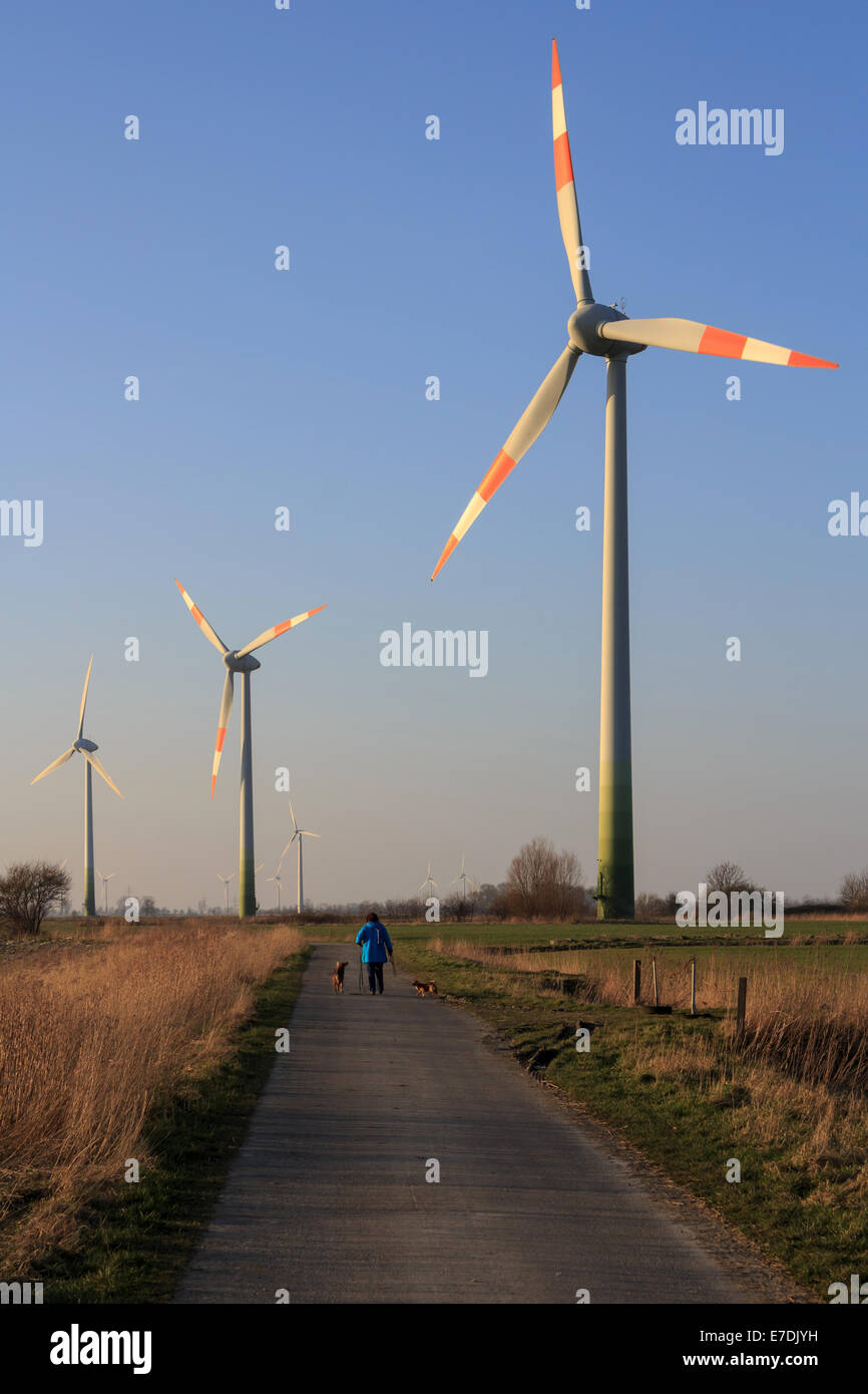 Hinte, Germany, Windraeder on a field Stock Photo - Alamy