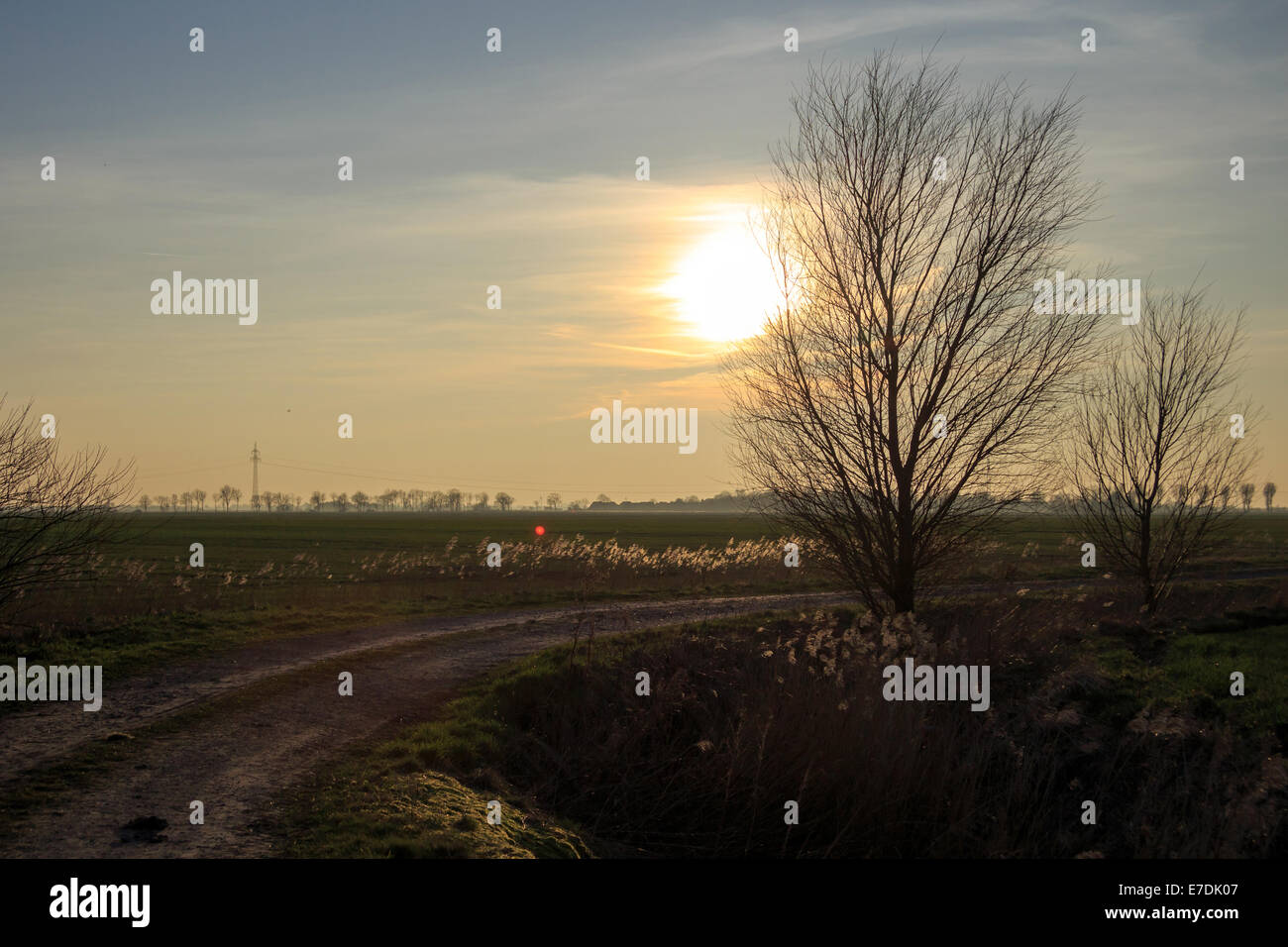 Hinte, Germany, landscape at dusk Stock Photo - Alamy