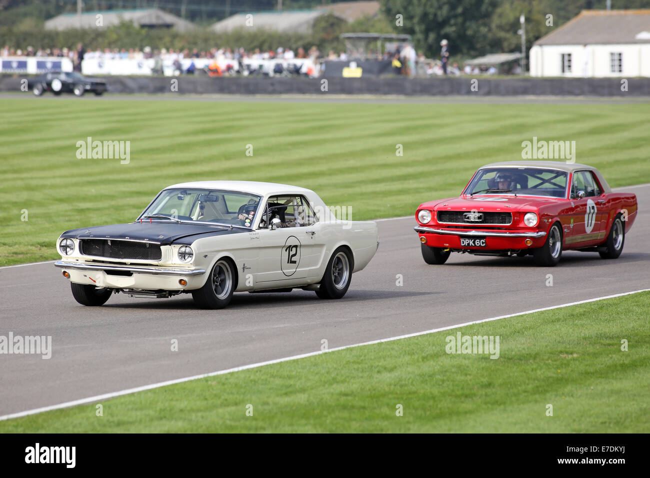 1965 mustang race car hi-res stock photography and images - Alamy