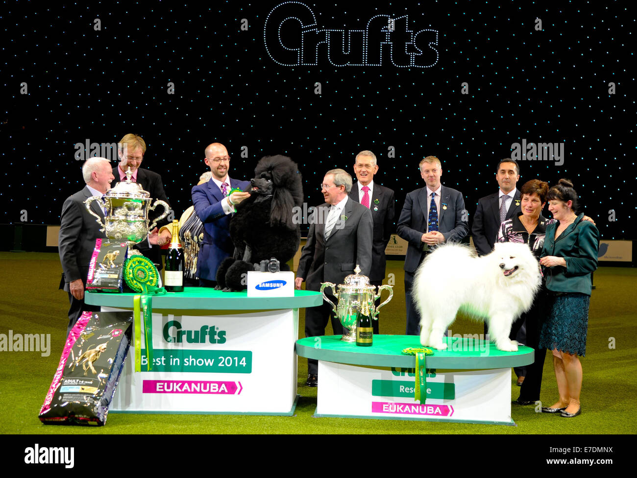 Crufts held at the National Exhibition Centre (NEC) - Day 4 - Best In ...