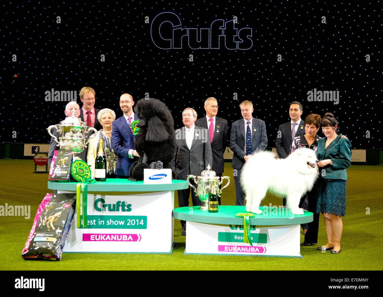 Crufts held at the National Exhibition Centre (NEC) - Day 4 - Best In ...