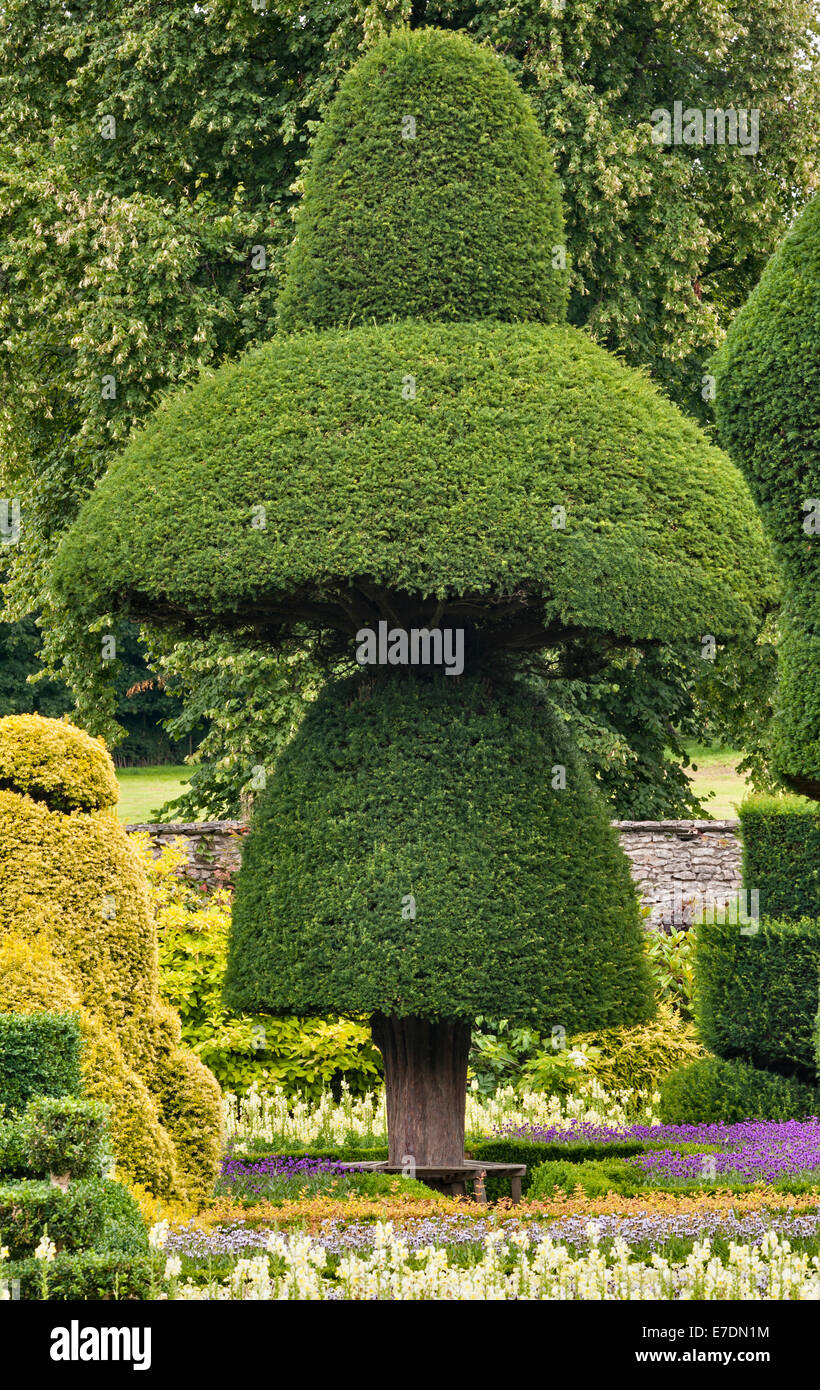 Yew topiary hi-res stock photography and images - Alamy