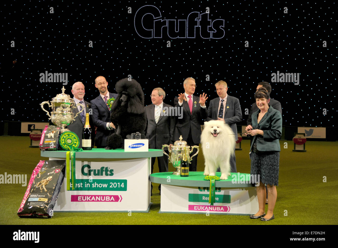 Crufts held at the National Exhibition Centre (NEC) - Day 4 - Best In ...