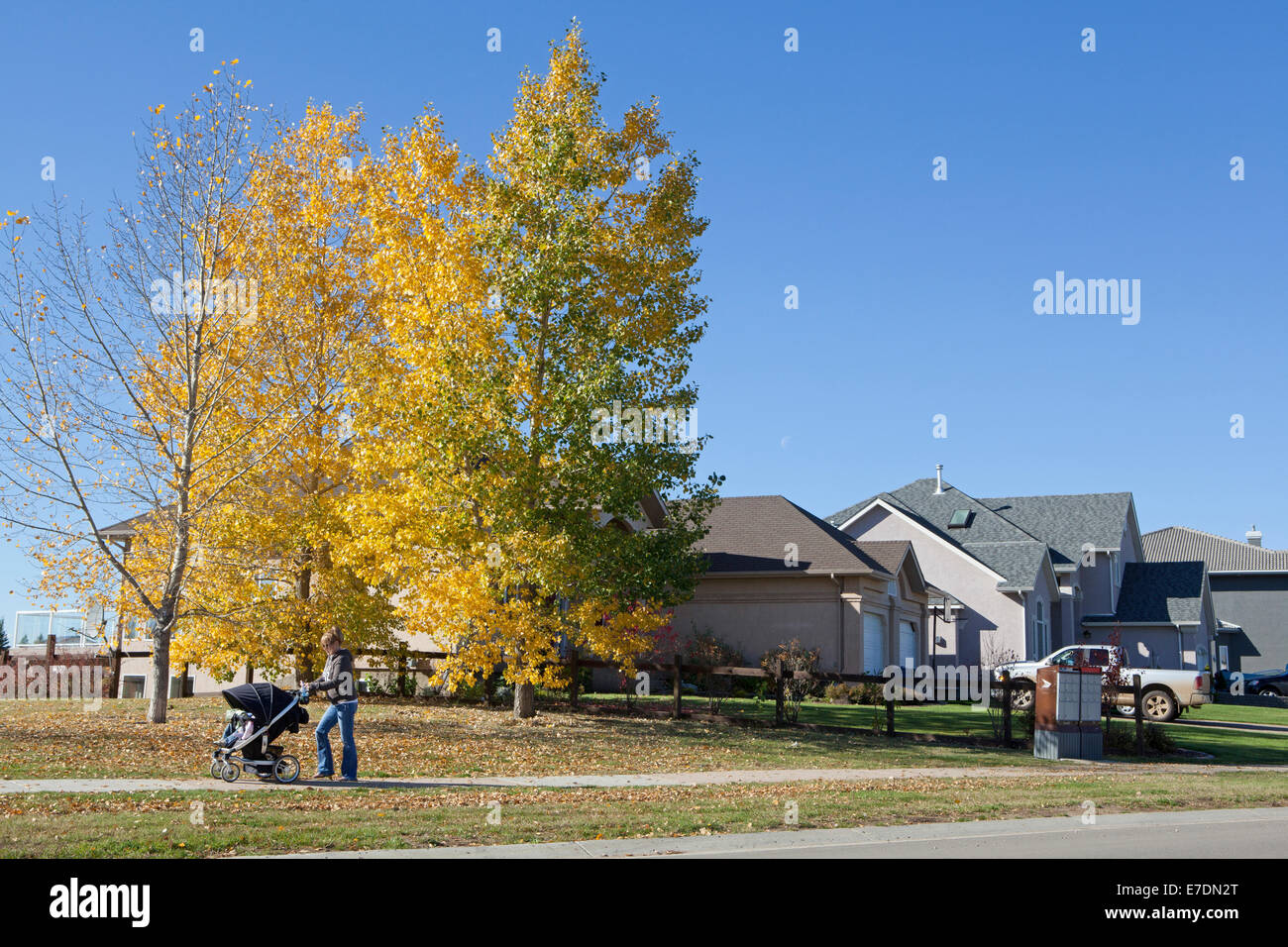 suburbs, fort mcmurray, alberta Stock Photo - Alamy