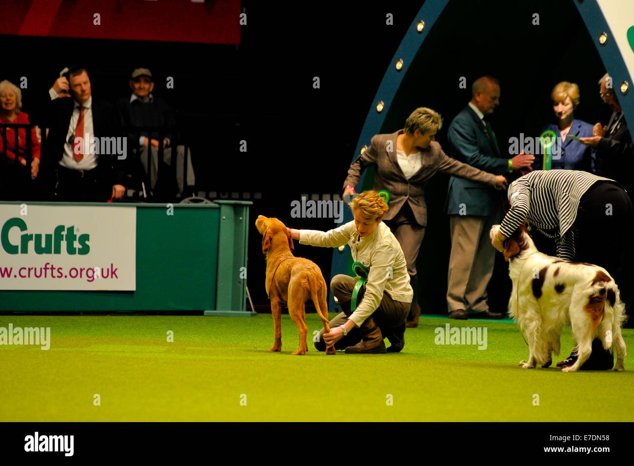 Crufts 2014 Agility Finals and Presentations Parade of Gamekeepers ...