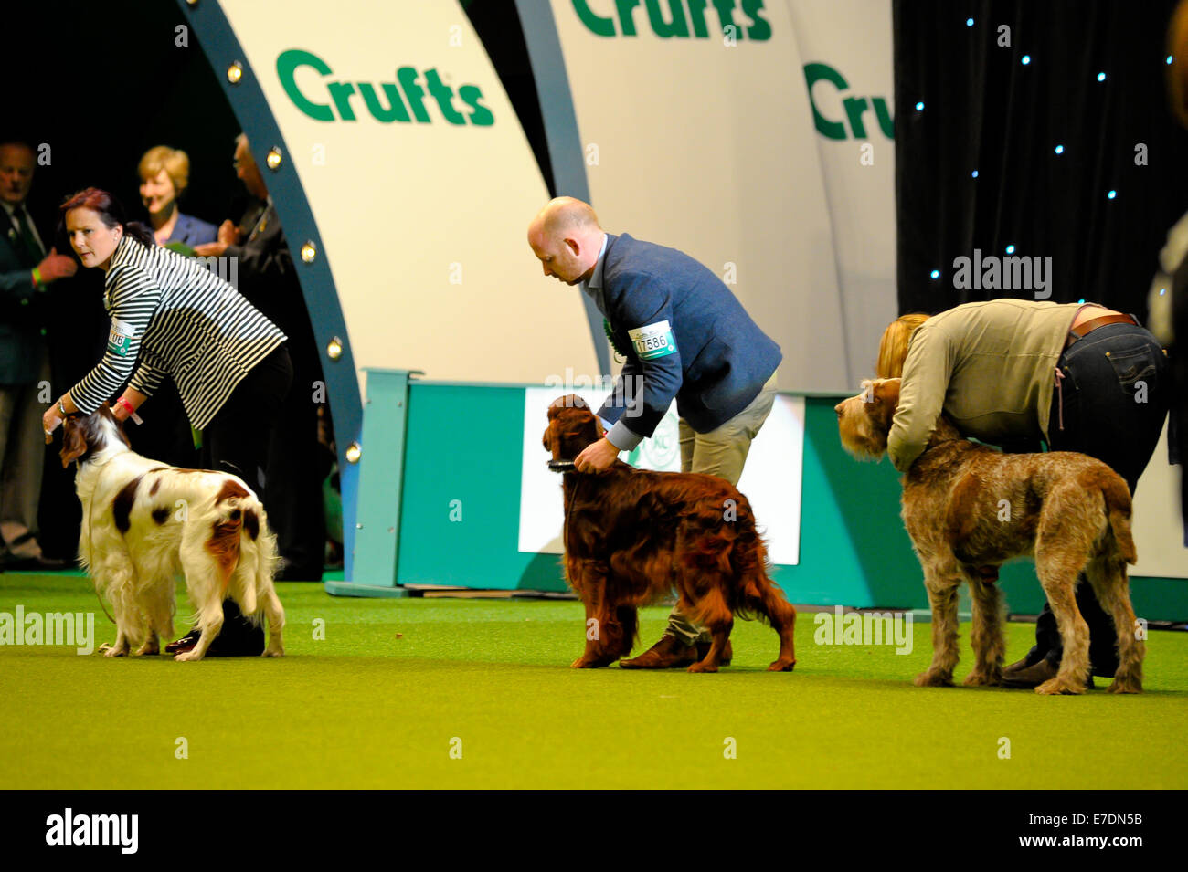 Crufts 2014 Agility Finals and Presentations Parade of Gamekeepers ...