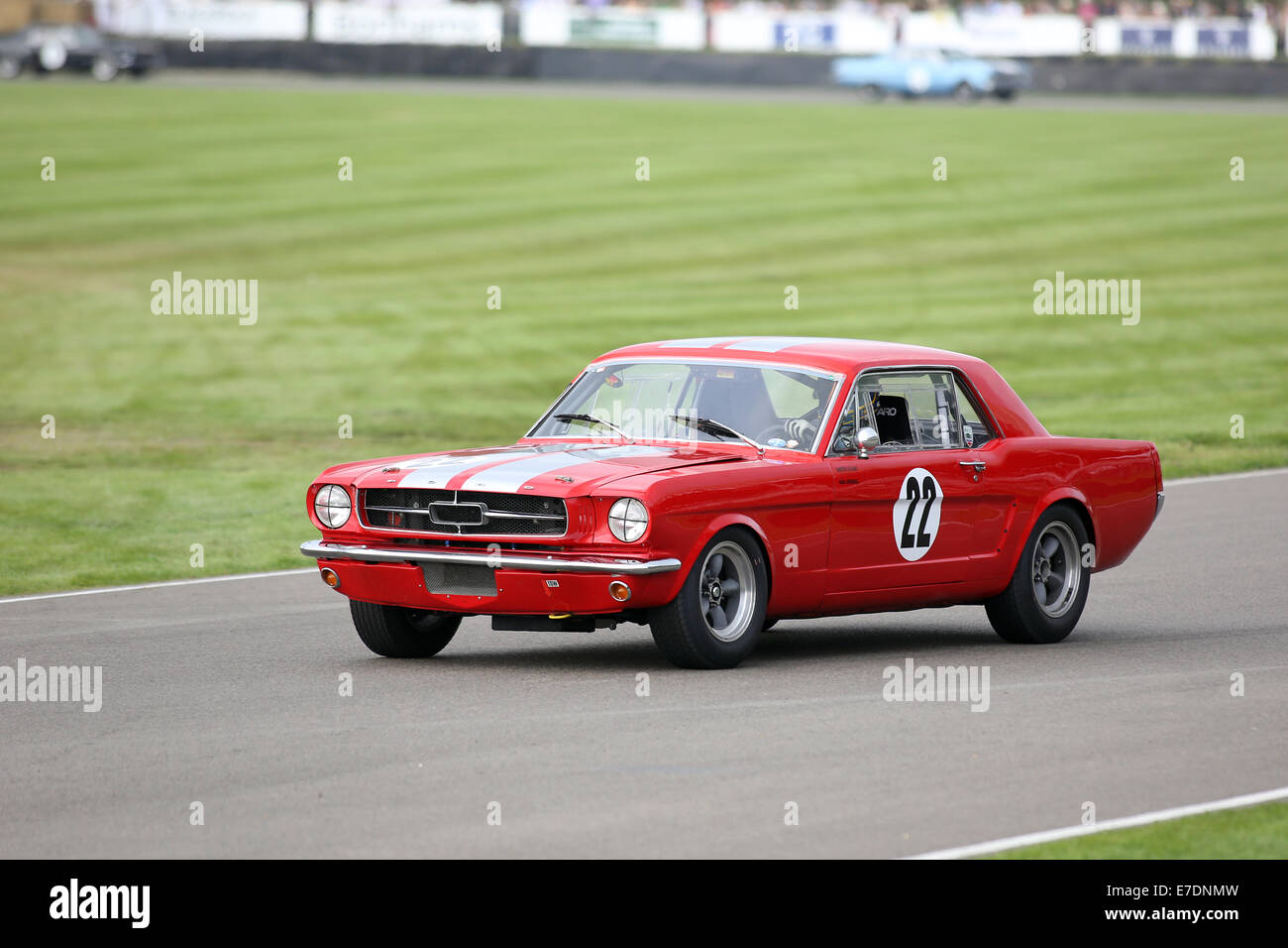 Chichester, West Sussex, UK. 13th Sep, 2014. Pictures from the Goodwood ...