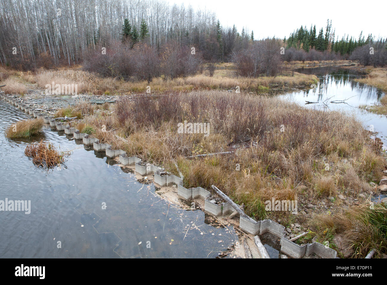 Manmade dam on Peace River, Boreal Forest, Alberta, Canada Stock Photo ...