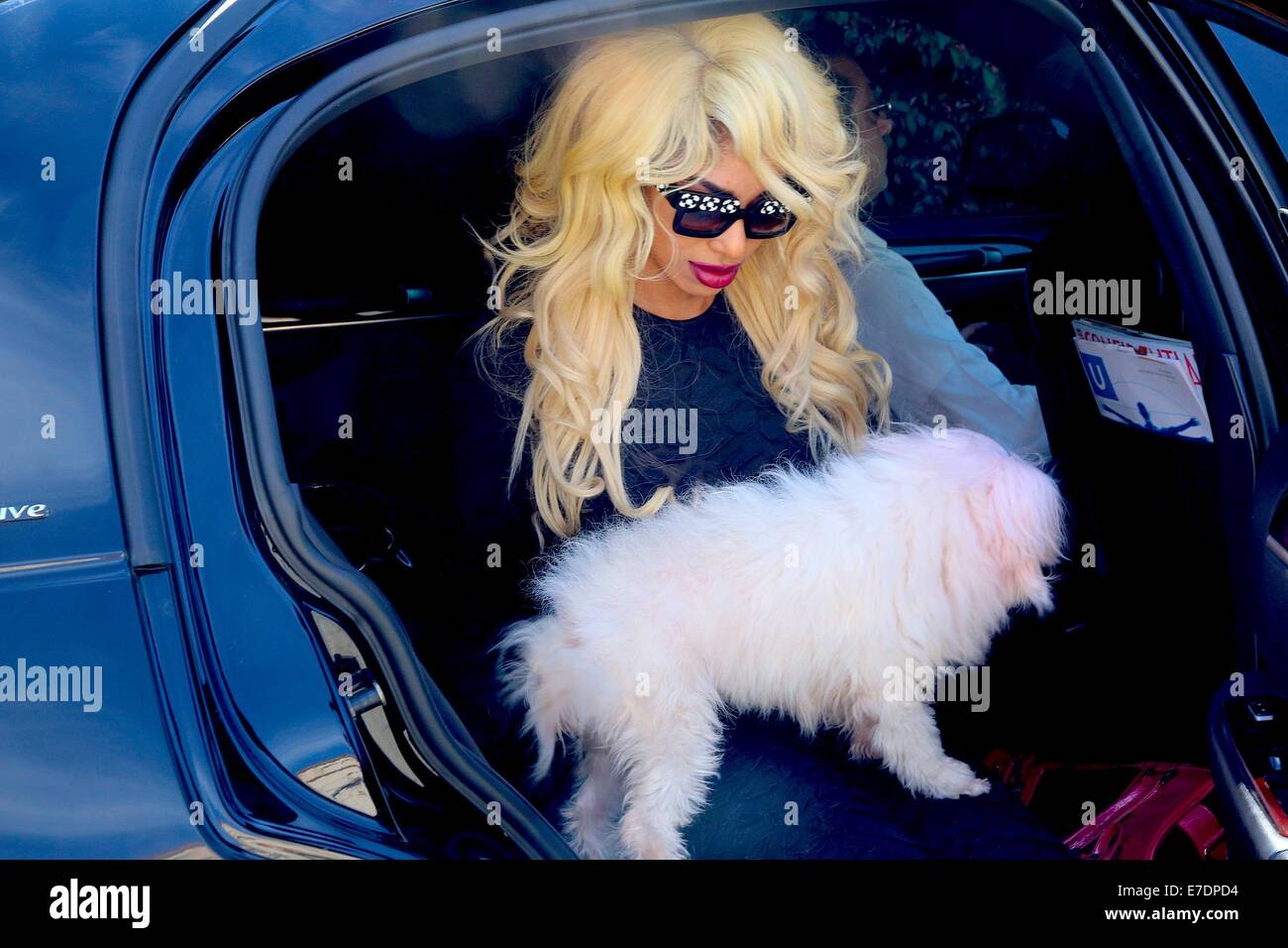 Whitenicious Dencia