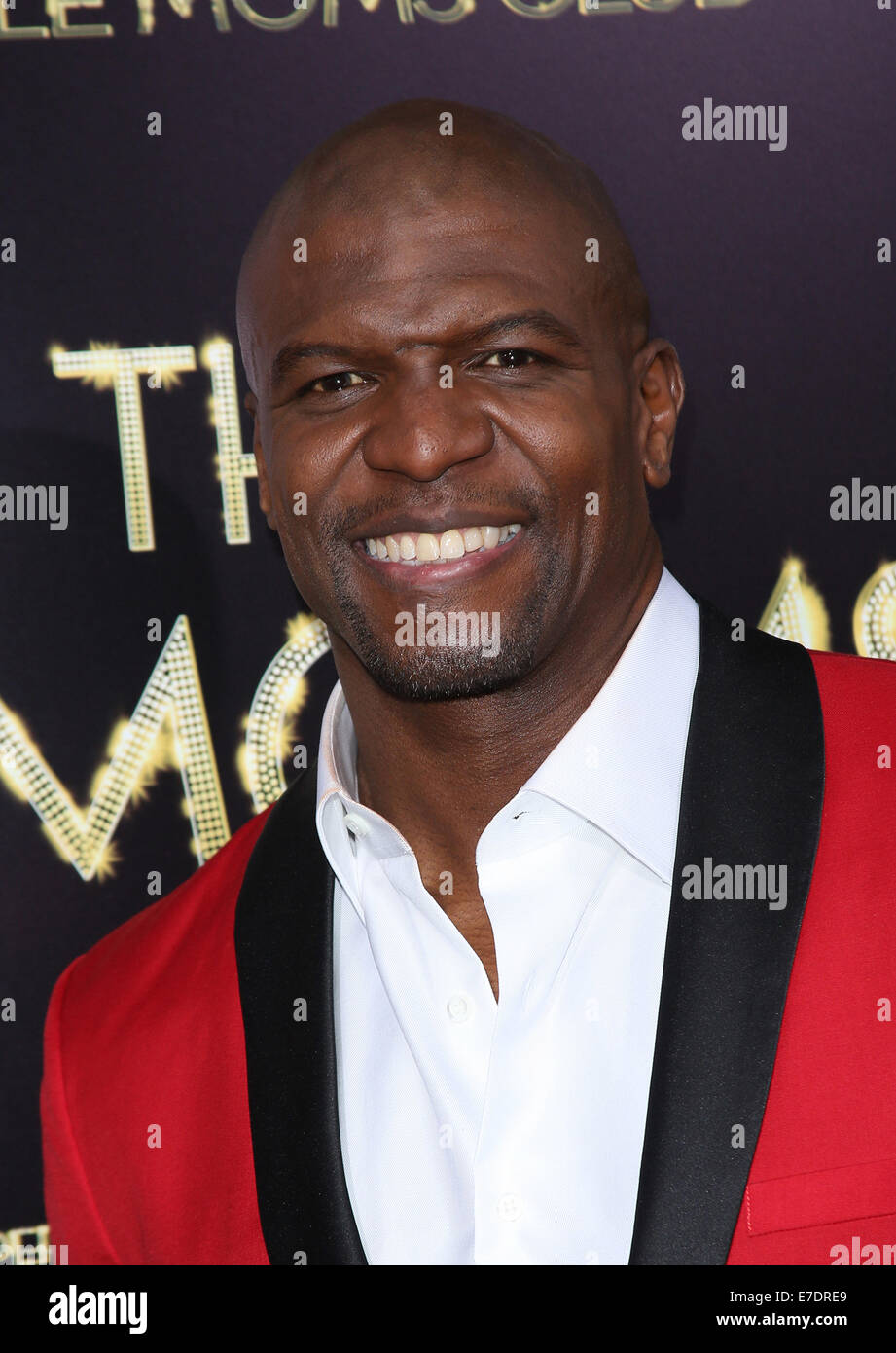 Premiere Of Tyler Perry's "The Single Moms Club" Featuring: Terry Crews ...
