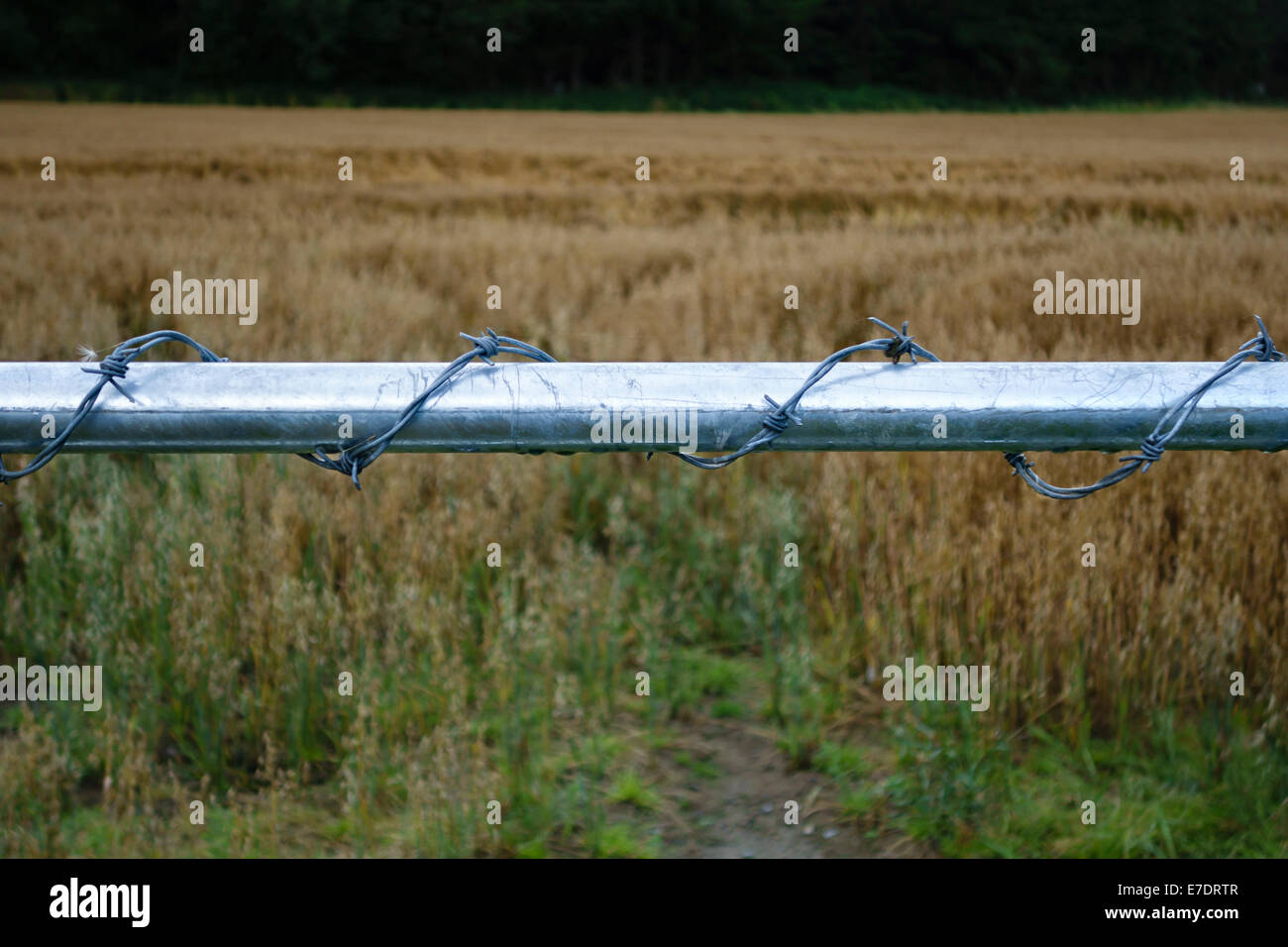 Barbed wire gate hi-res stock photography and images - Alamy