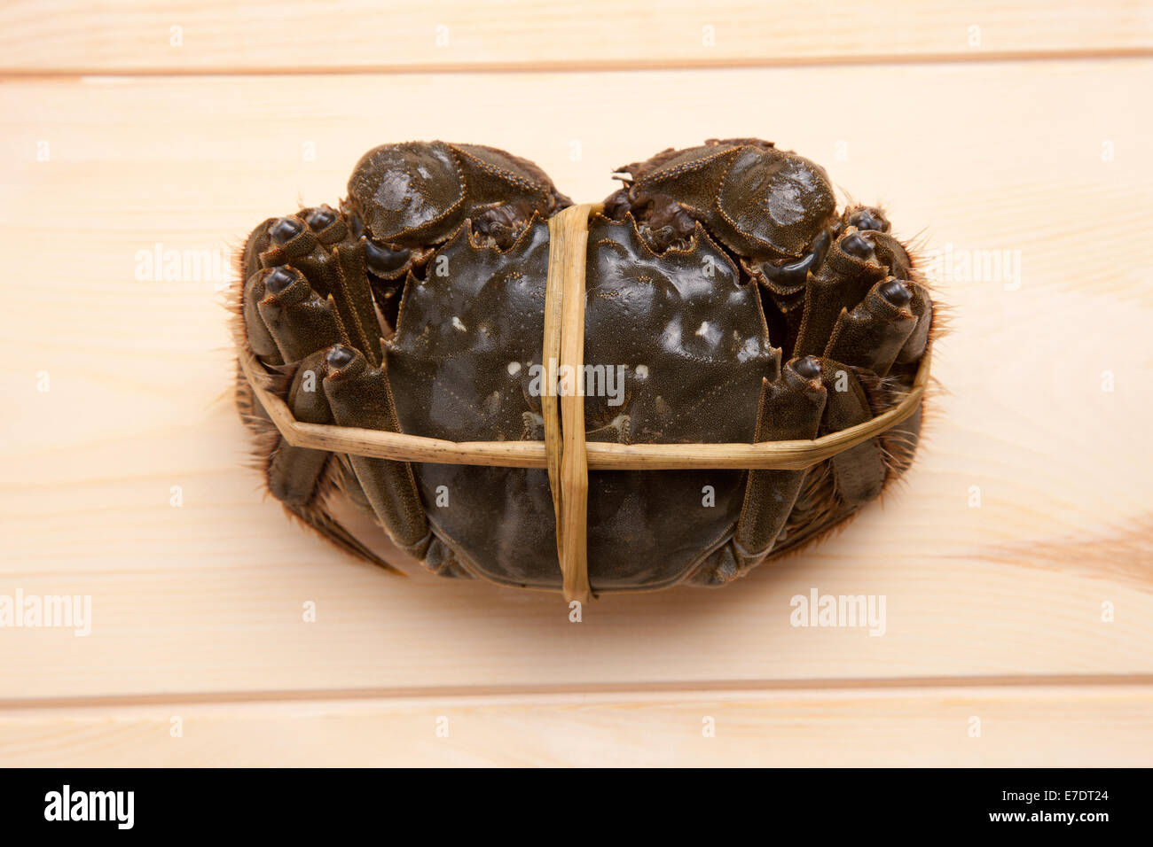 Tied up crabs hi-res stock photography and images - Alamy