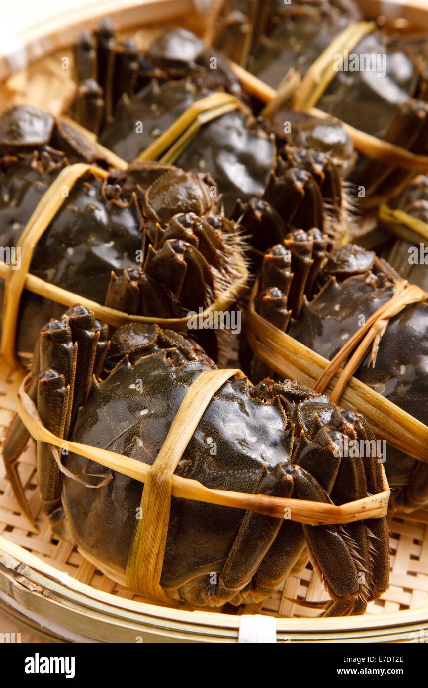 Close-up of crabs Stock Photo - Alamy