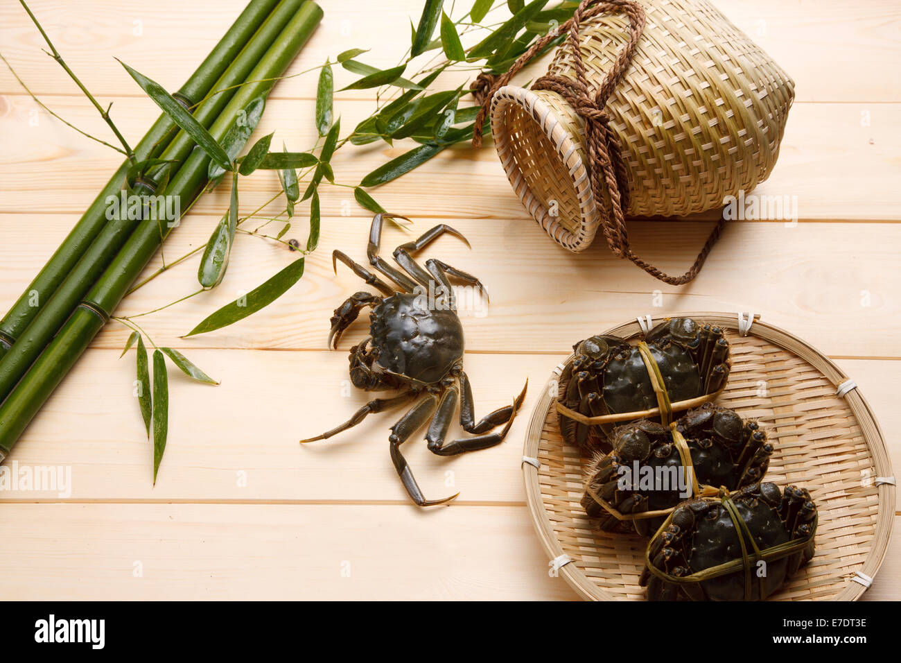 Tied up crabs hi-res stock photography and images - Alamy