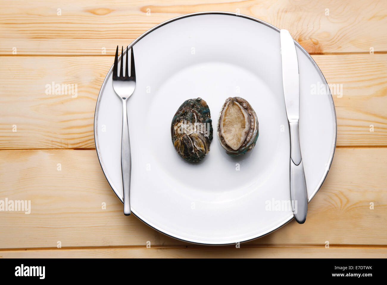 Close-up of abalone Stock Photo - Alamy
