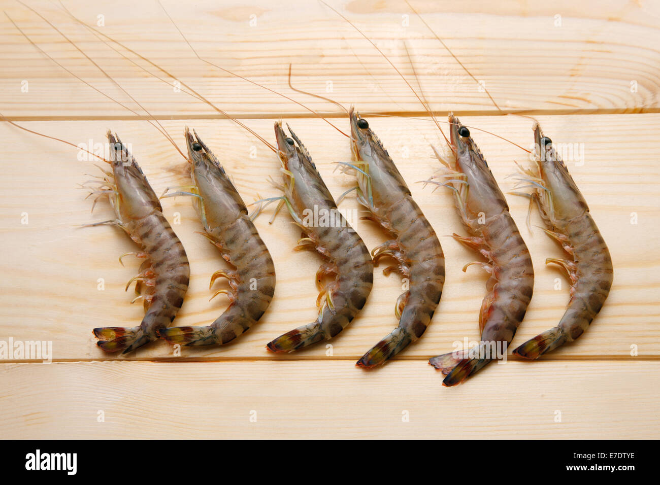 Shrimp type hi-res stock photography and images - Alamy