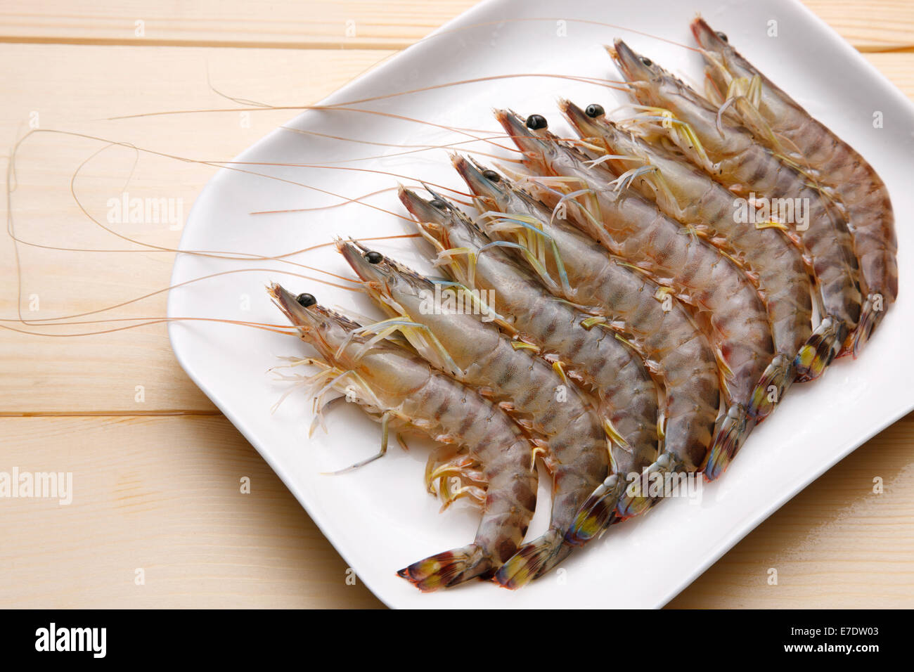 Close-up of shrimp Stock Photo - Alamy