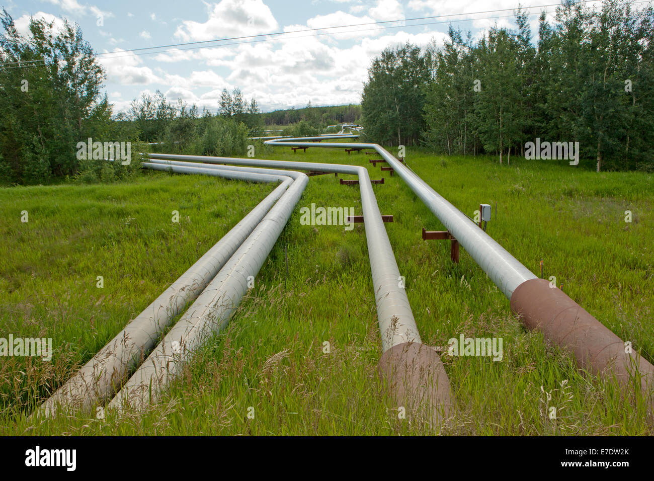 Sagd alberta hi-res stock photography and images - Alamy