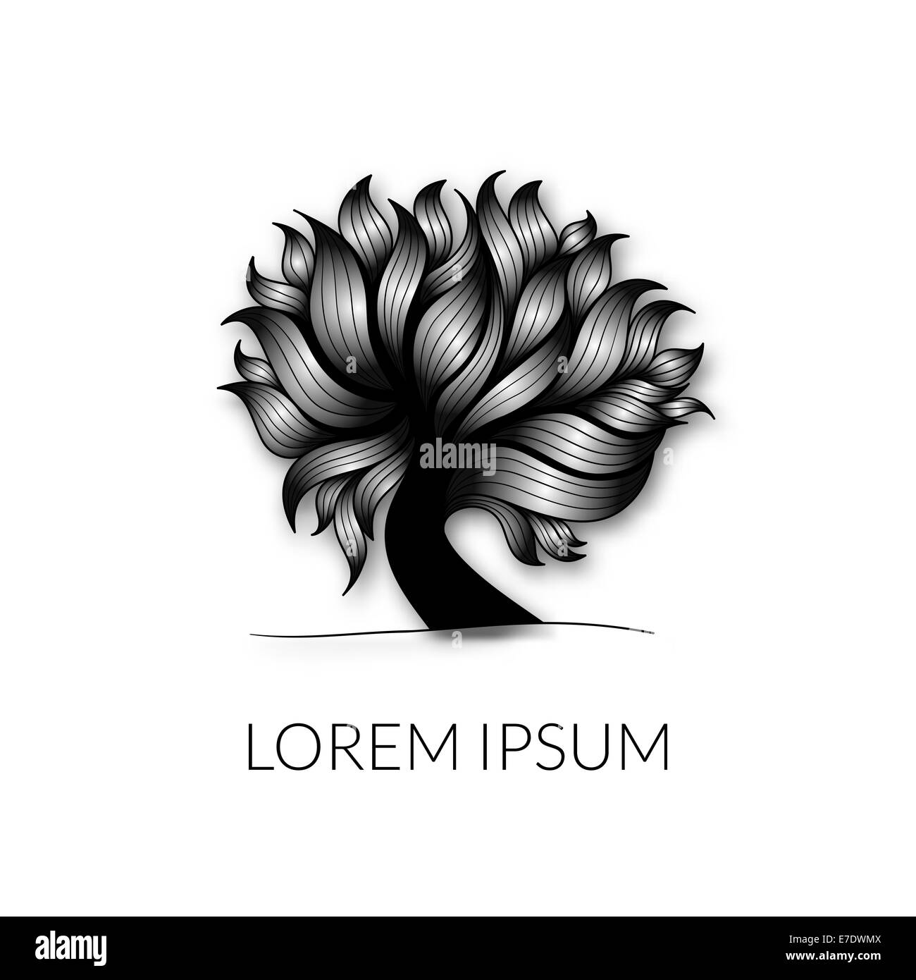 Tree leaves shadow Cut Out Stock Images & Pictures - Alamy