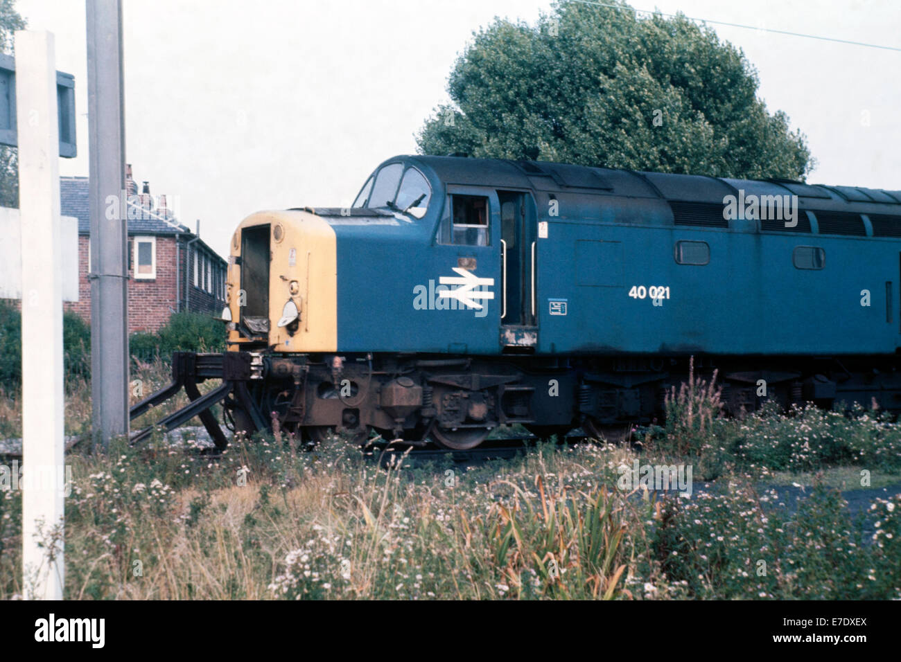 British Rail Class 40 High Resolution Stock Photography and Images - Alamy