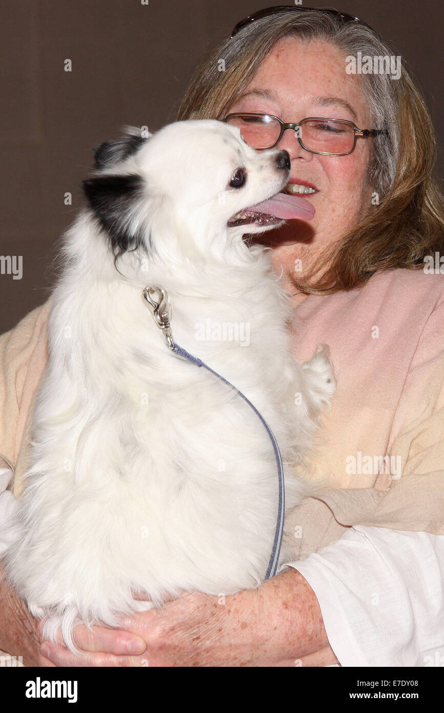Dog Auditions for Broadway's Lady Day at Emerson's Bar and Grill at ...