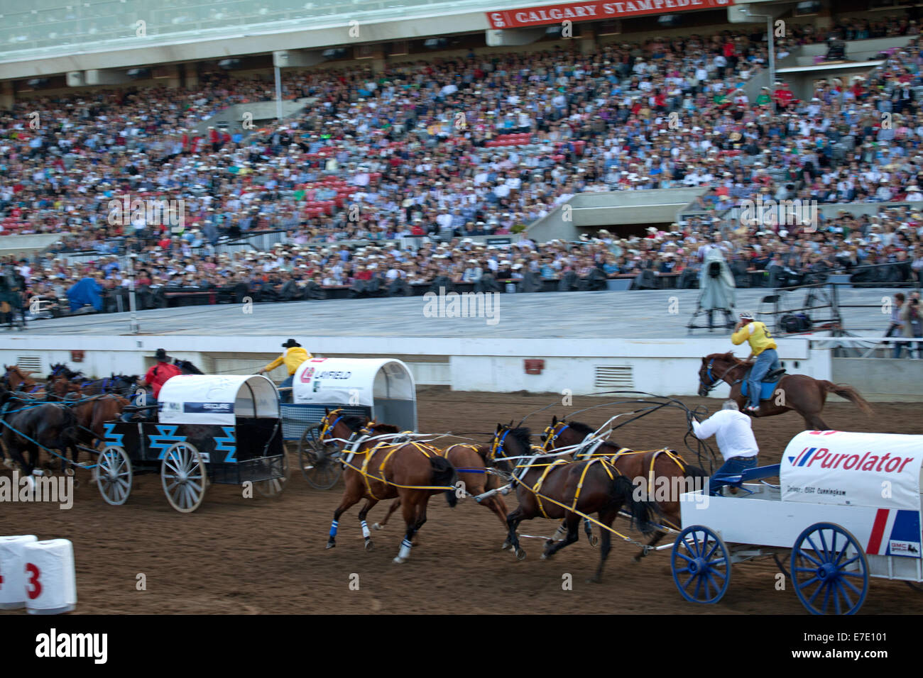 Stampede cowboys hi-res stock photography and images - Alamy