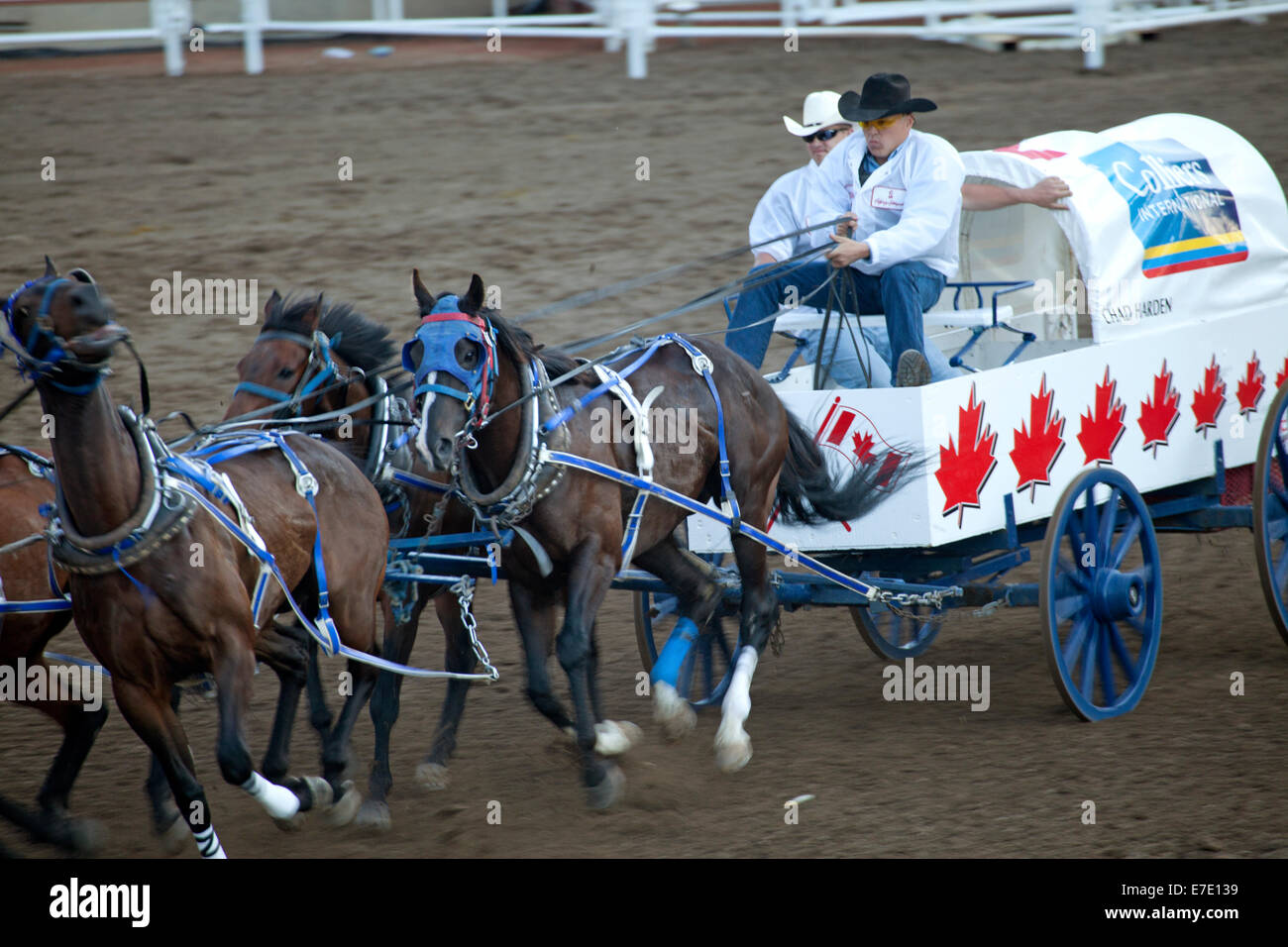 Calgary Stampede, Calgary, Alberta, Canada Stock Photo - Alamy