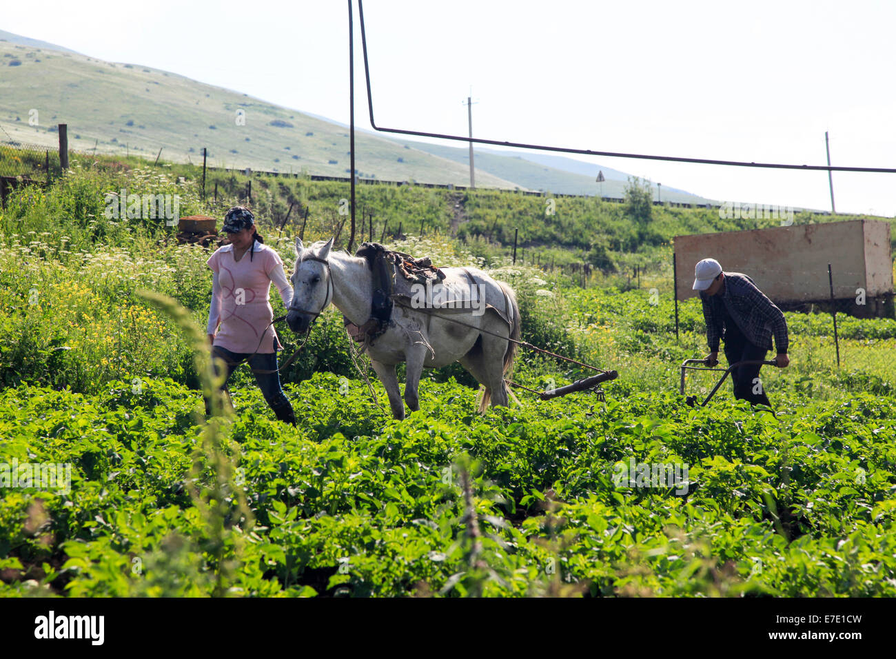 Hand Plough High Resolution Stock Photography and Images - Alamy