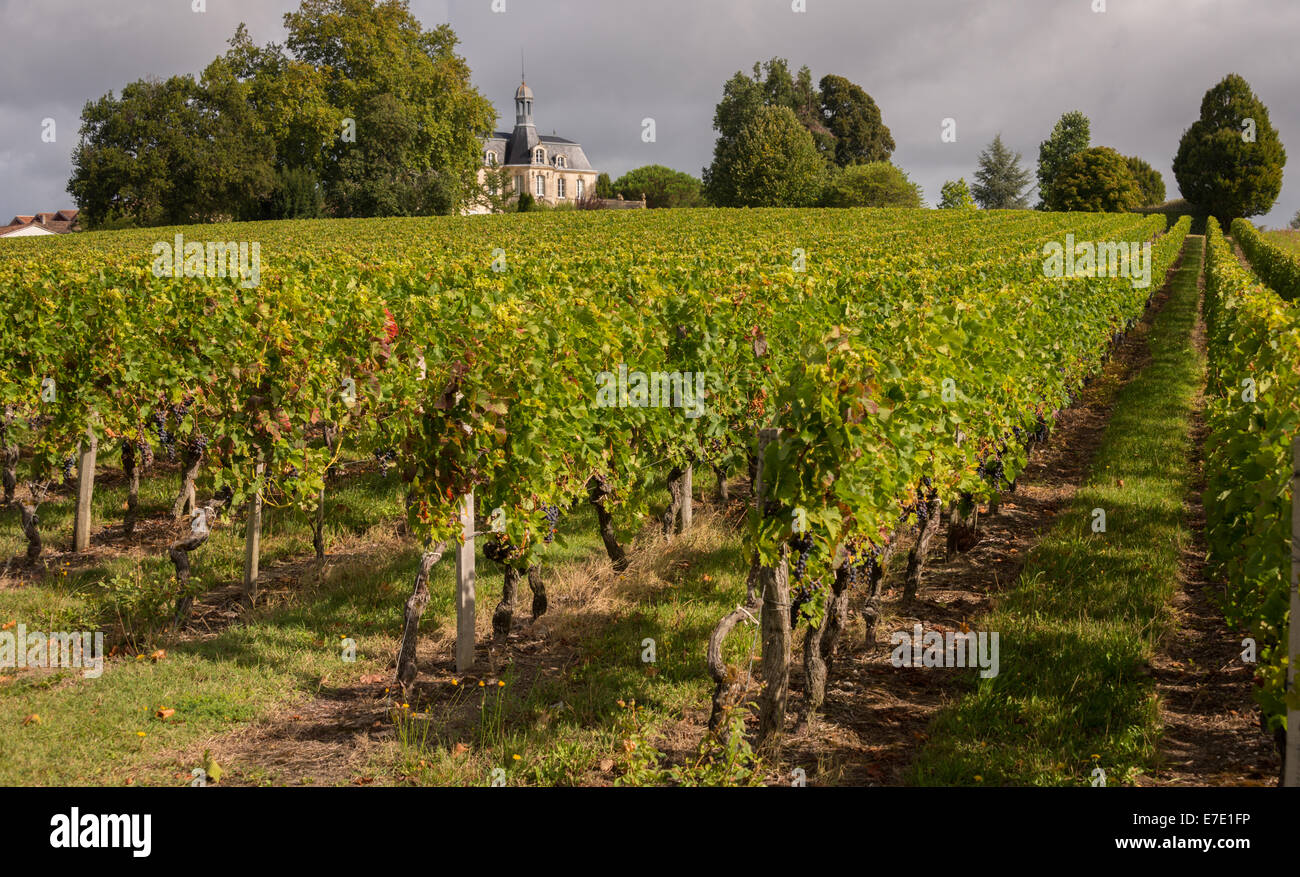French wine making hi-res stock photography and images - Alamy