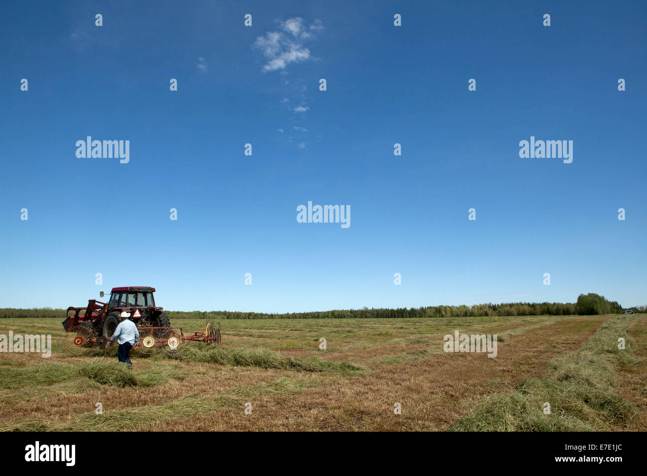 Farming in the Peace River country, Alberta Stock Photo - Alamy