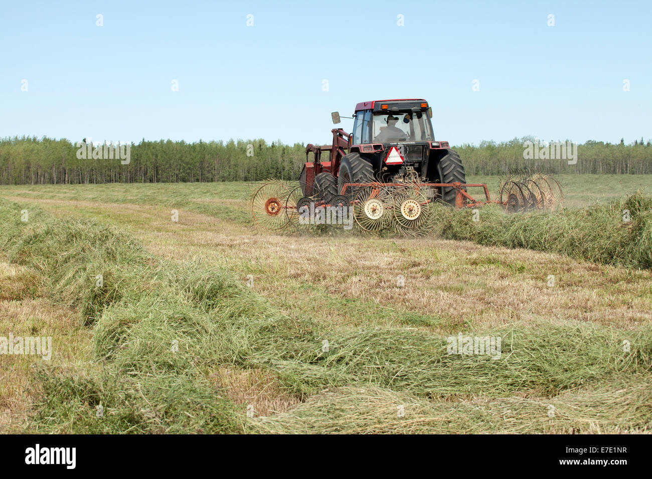 Farming in the Peace River country, Alberta Stock Photo - Alamy
