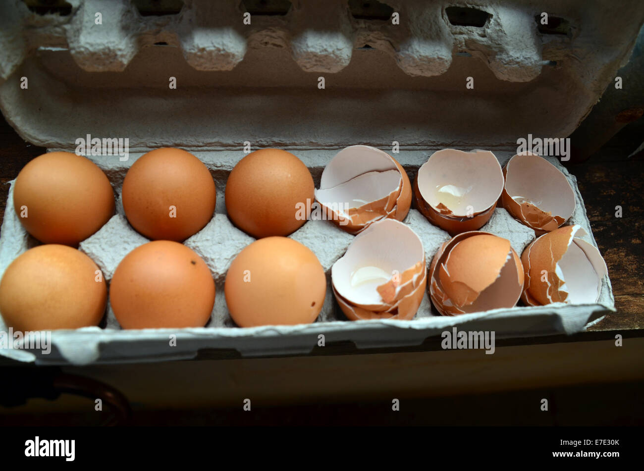 6 eggs in a carton and 6 egg shells in the carton Stock Photo - Alamy