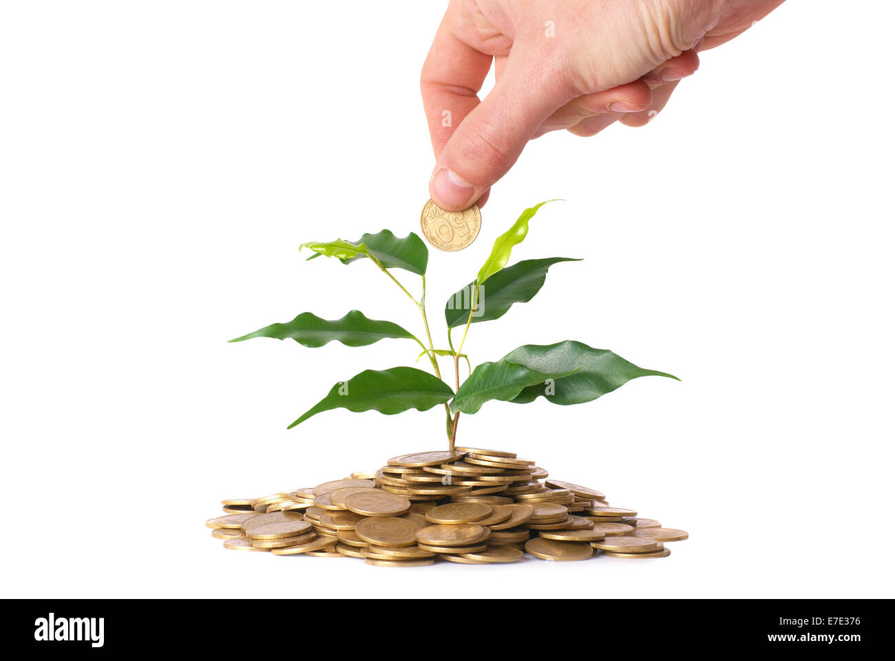 Hand and green plant growing from the coins. Money financial concept ...