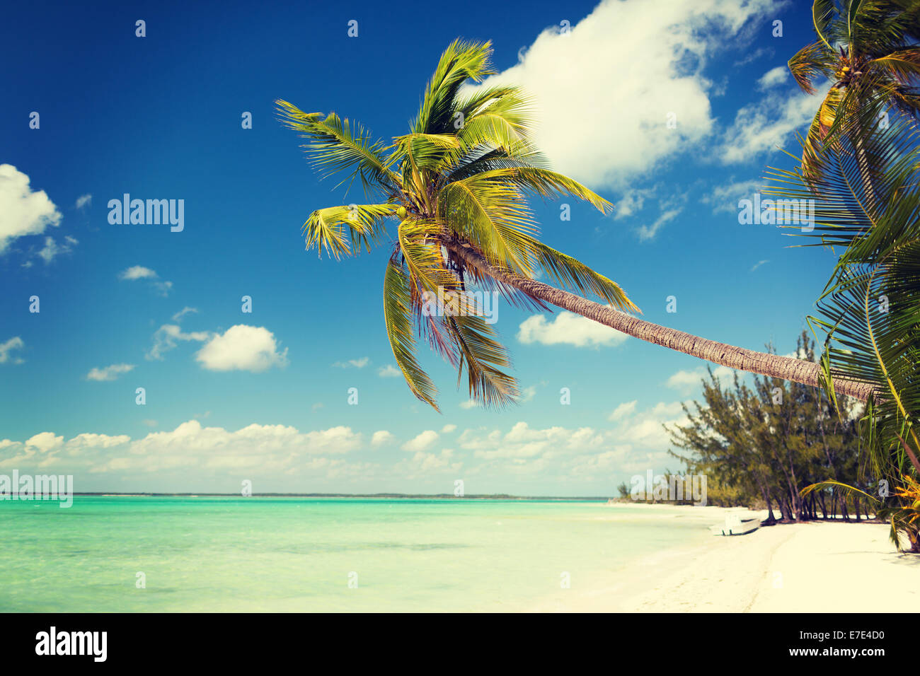 tropical beach with palm trees Stock Photo - Alamy
