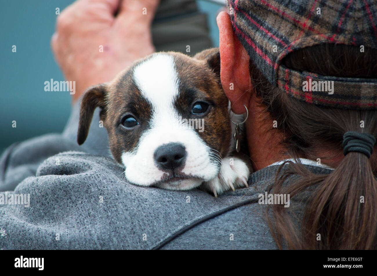 Looking over the shoulder hi-res stock photography and images - Alamy