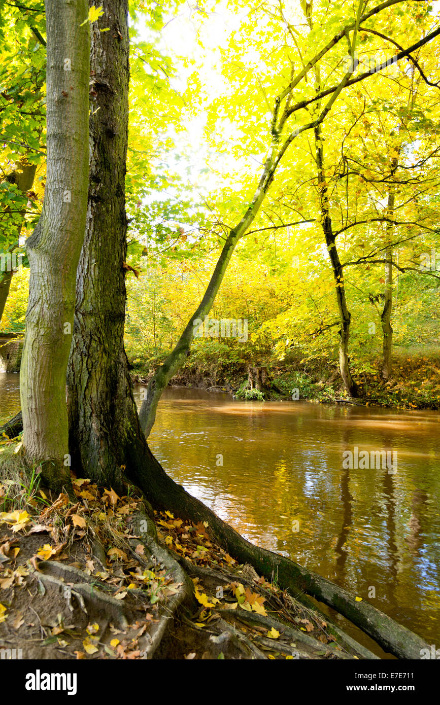 autumn landscape with a river and trees Stock Photo - Alamy