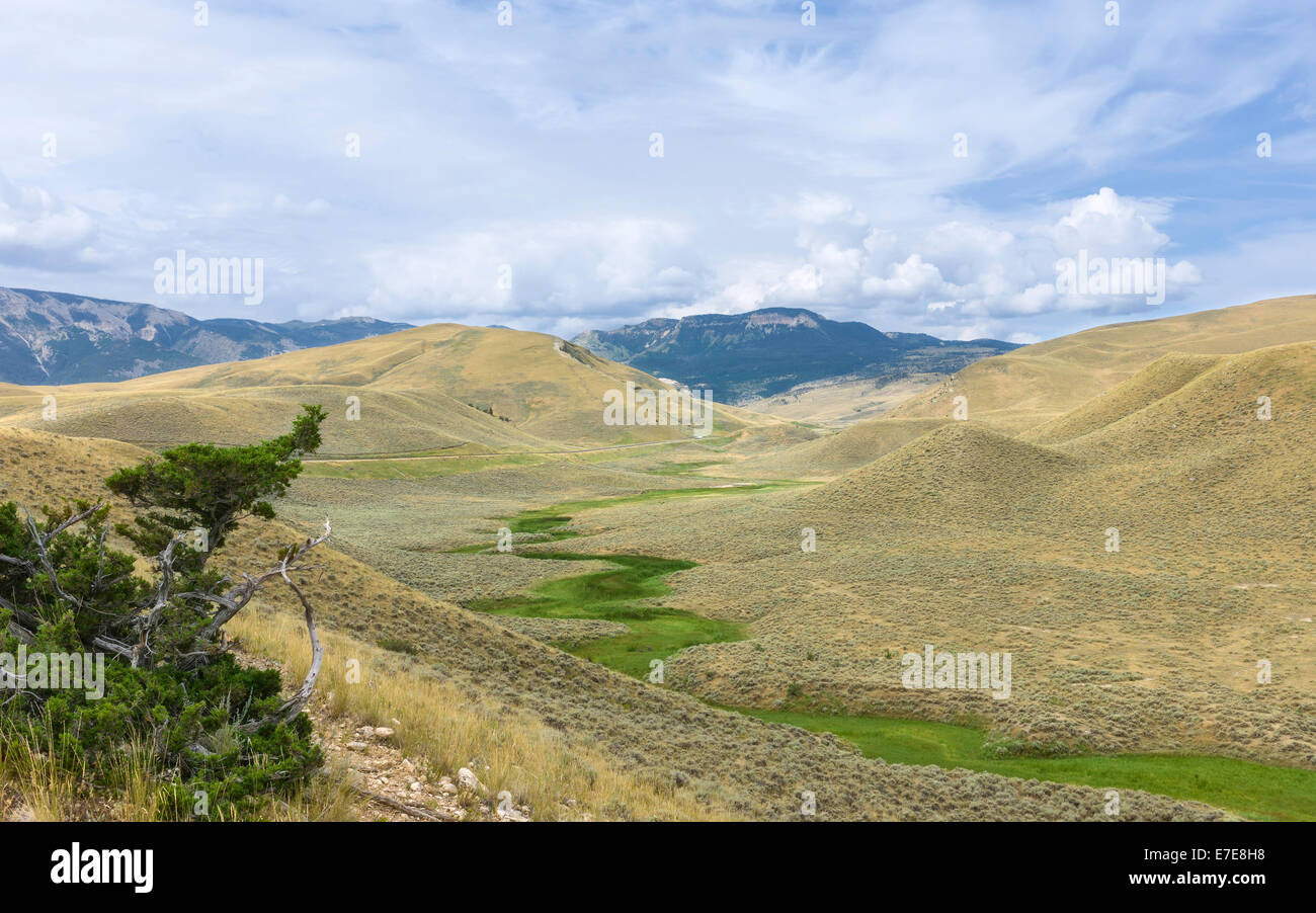 The rugged undulating landscape of bush land at the foothills of the ...