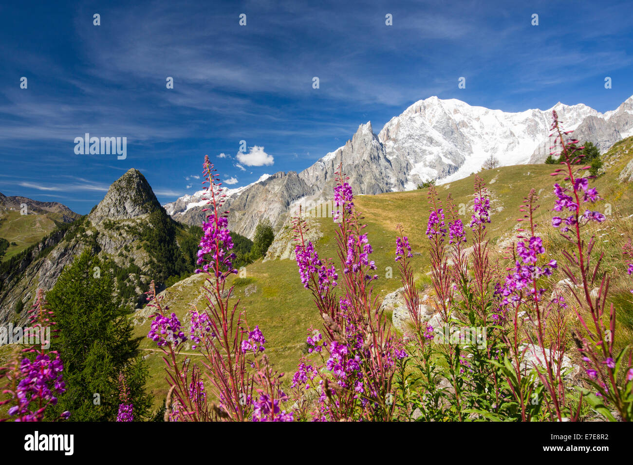 Mont Chetif and the mont blanc range from Refuge Bertone, above ...