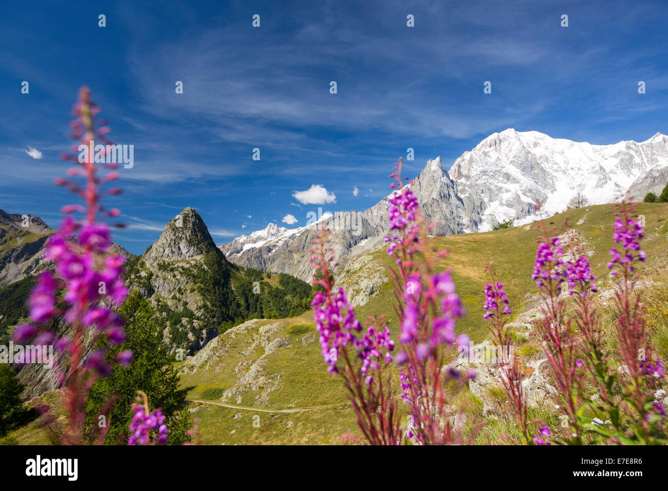 Mont Chetif and the mont blanc range from Refuge Bertone, above ...