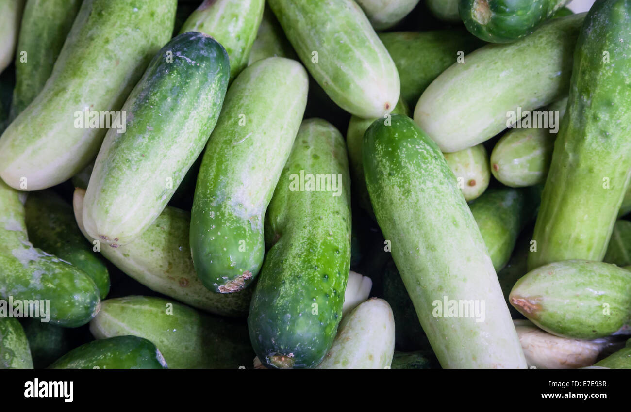 Fresh green cucumber collection outdoor on a market Stock Photo - Alamy