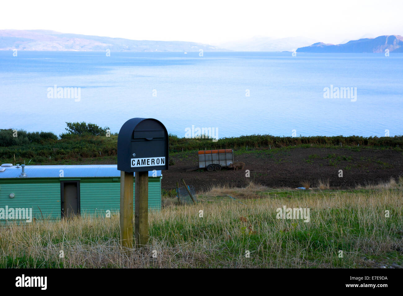 A Cameron mailbox in Scotland with a caravan and pigs. A metaphor for ...