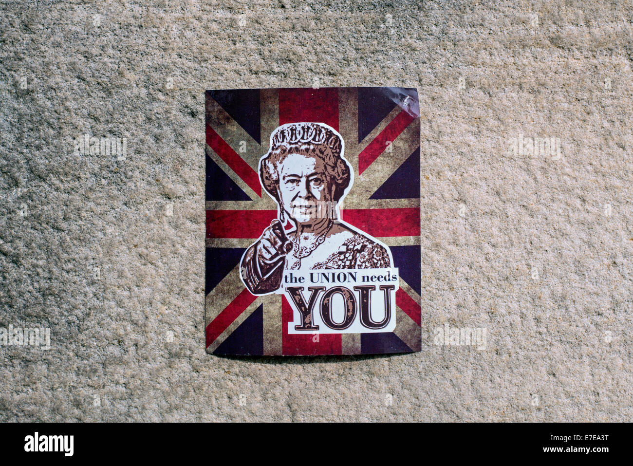 Pro-union sticker featuring the Queen and the words "the Union Needs ...