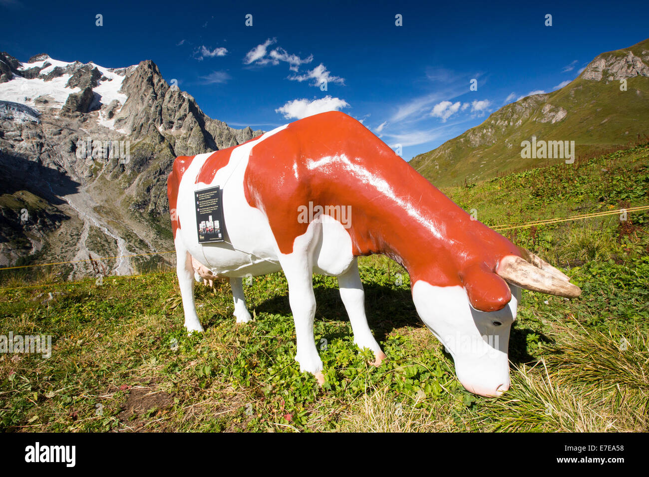 A model cow advertising diary products by the Bonatti Hut opposite the ...